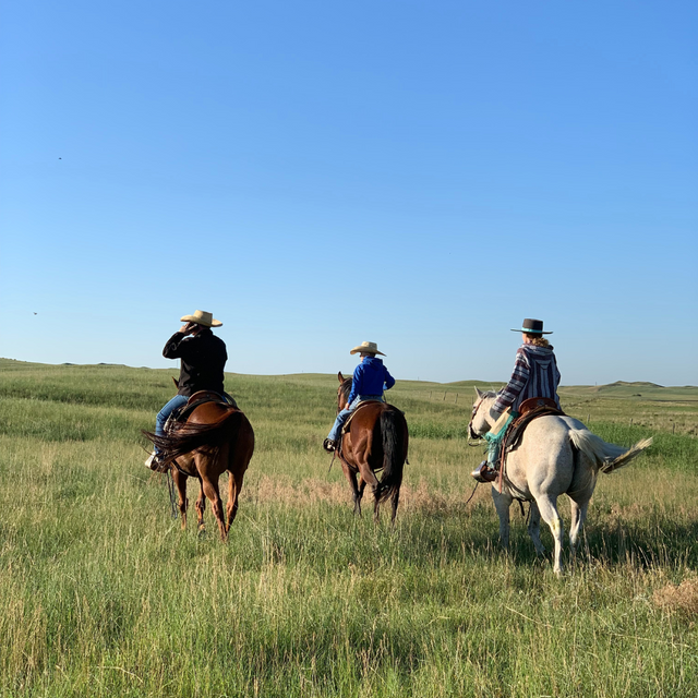 Jake Magee Box – GoodLife Proteins